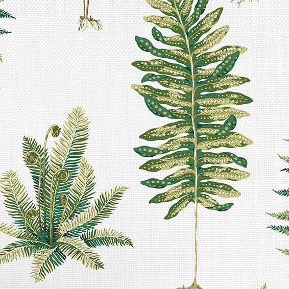 Fernery Fern Curtains